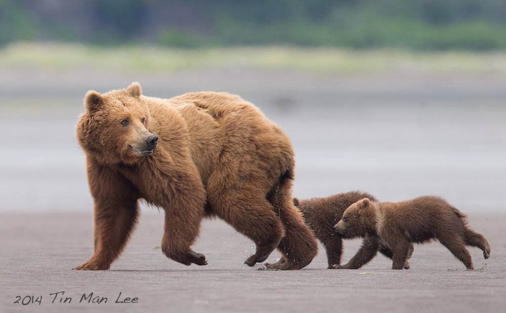7 Unusual Tips on the Zen of Travel - Wildlife Photography Coaching by ...